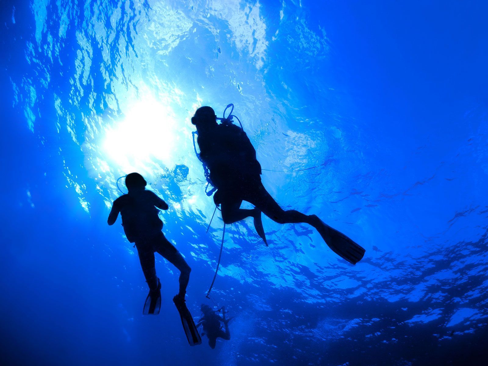 Price List | PV Ocean Tours